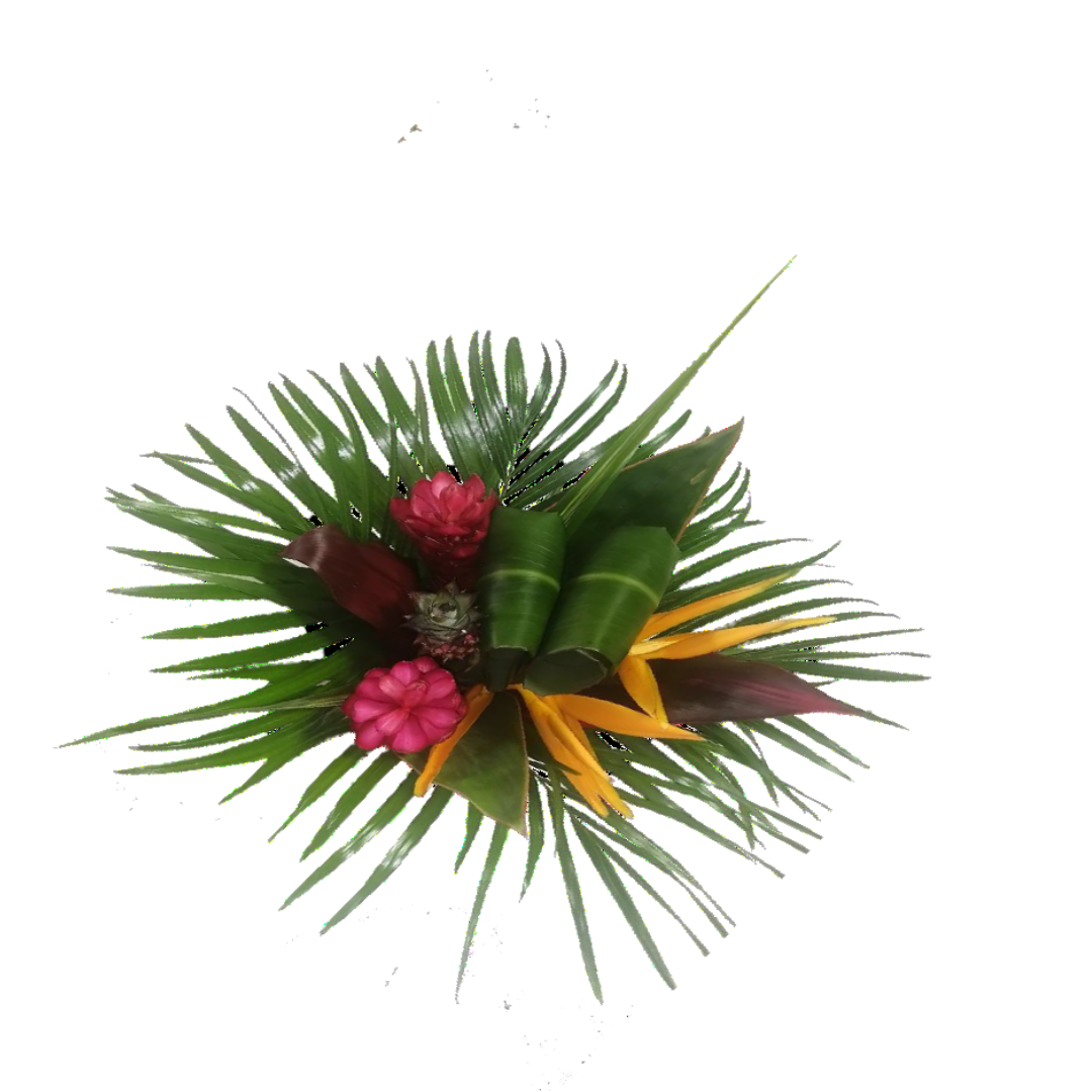 Tropicals – Simpson's Greens