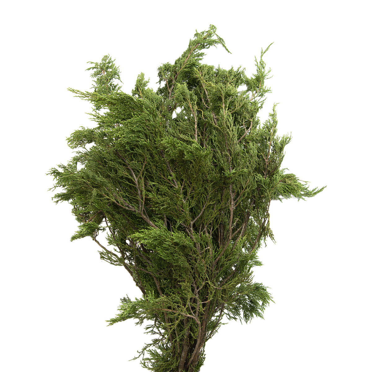 Christmas – Simpson's Greens