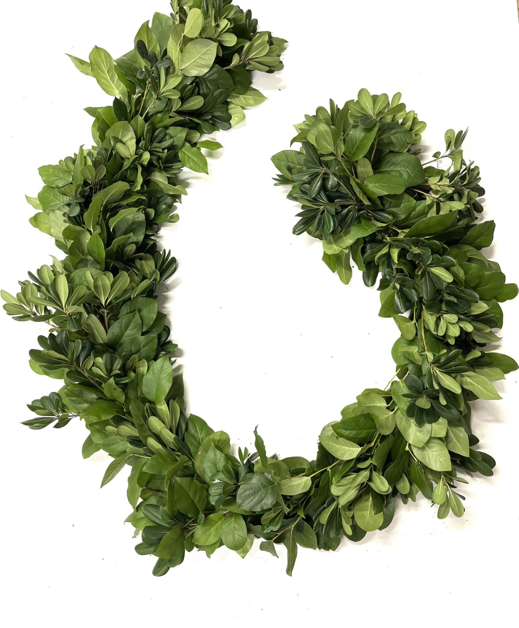 Our Products – Simpson's Greens