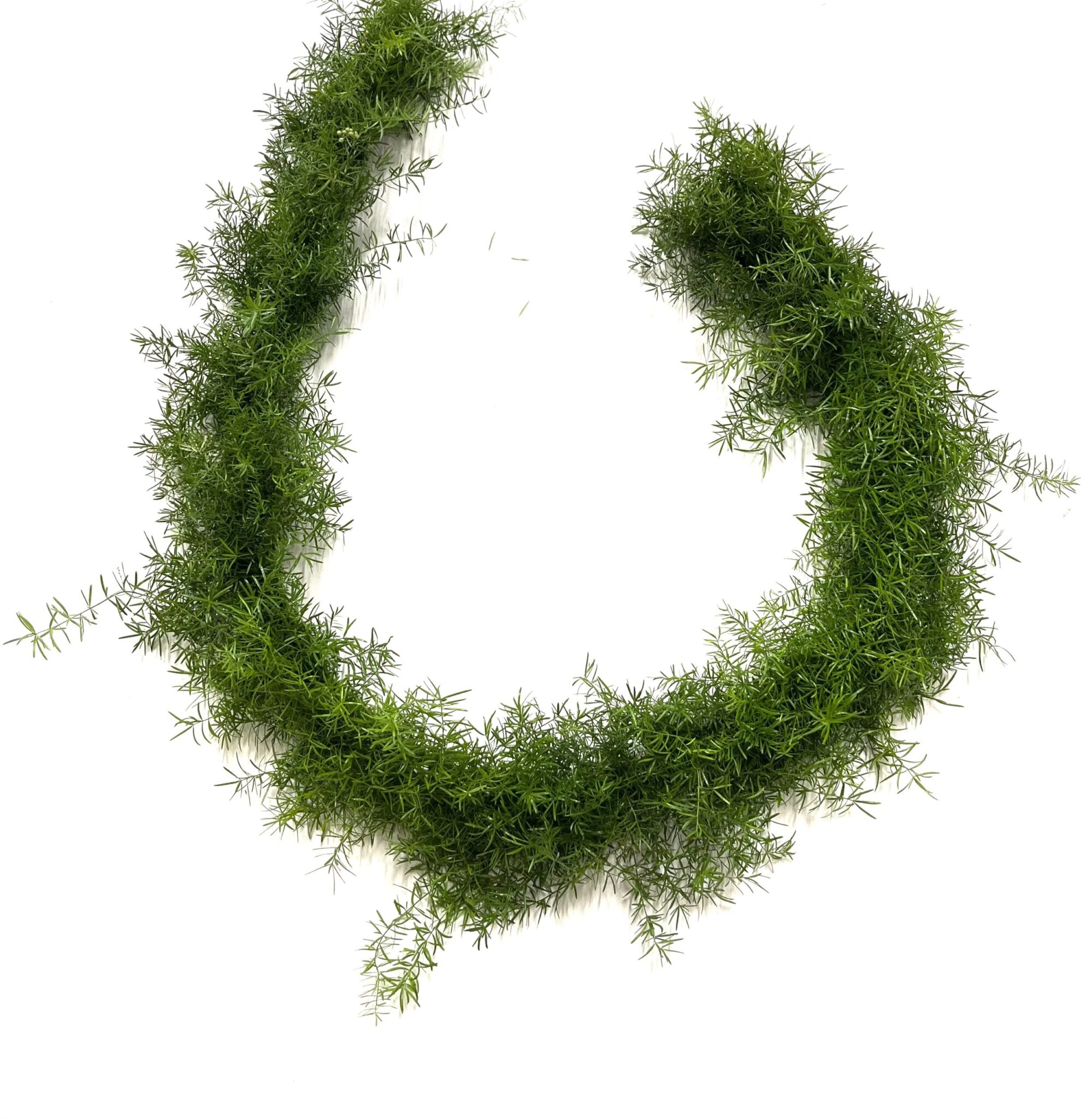 Garlands – Simpson's Greens